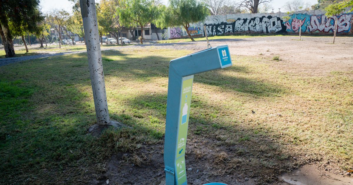 Un nuevo sistema de bebedero en Mendoza con impronta deportista y pet ...