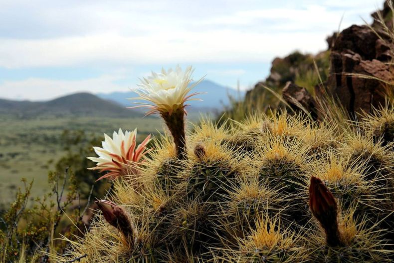 Turismo: los lugares únicos en el mundo para visitar en Mendoza