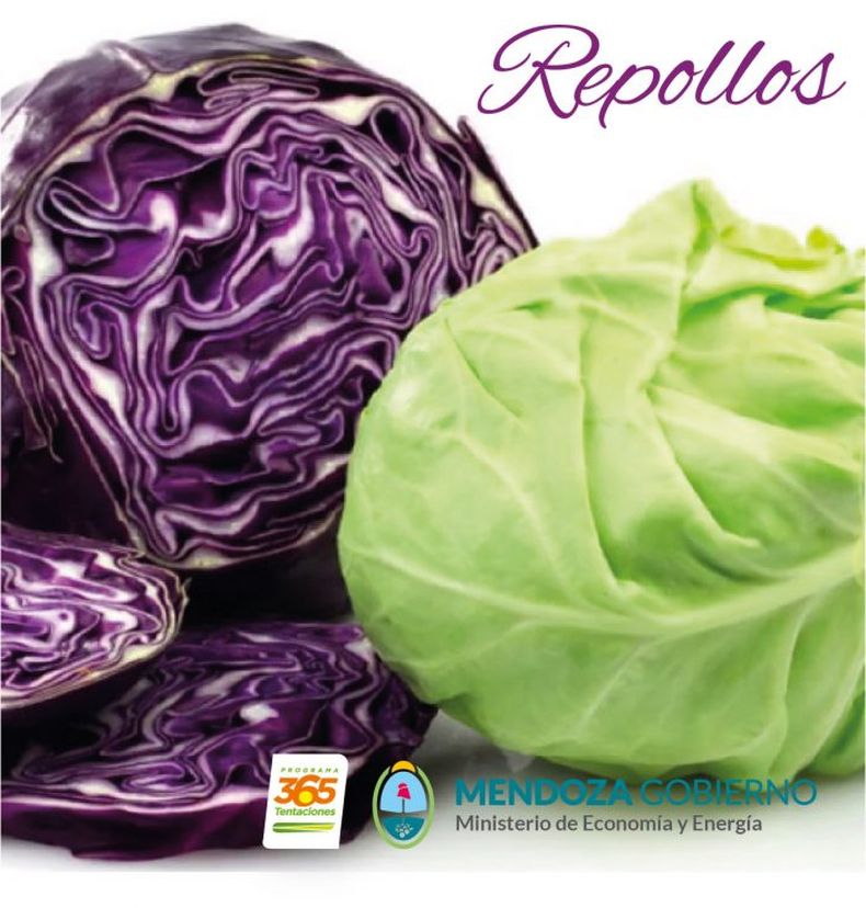Época de repollo: la verdura ideal para los cambios de tiempo y dietas