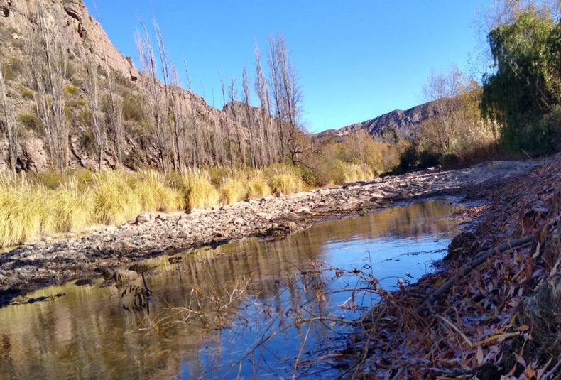 Irrigación: conocé cuál será el pronóstico de caudales para los ríos ...