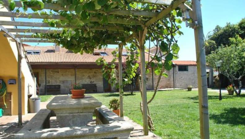 Cómo diseñar un jardín con parras: belleza y utilidad regional