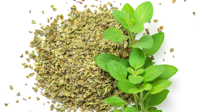 Jardinería y plantas medicinales: para qué sirve y cómo preparar té de ...