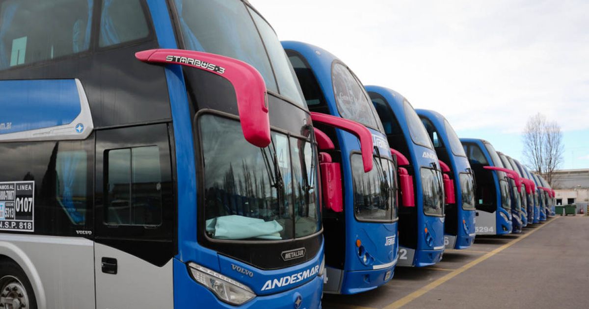 Semana del bus: descuentos de hasta el 40% en compras vía web de Andesmar