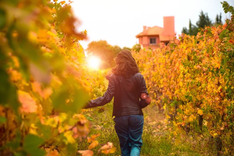 Qué tiene Mendoza que la convierte entre los destinos más elegidos en ...